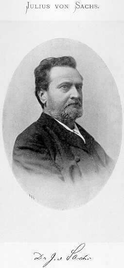 Wer war eigentlich... Julius Sachs? - Pflanzen-Magazin - Pflanzen ...